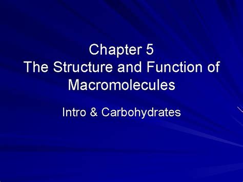 Chapter 5 The Structure And Function Of Macromolecules
