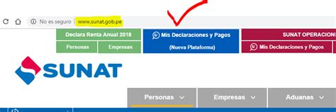 Sunat 🔴 Declaración Virtual Llenado De Declara FÁcil Pdt 621 Explicado