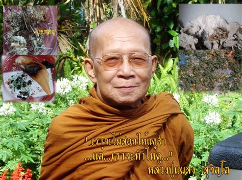 หลวงปู่แผลง สุจิตฺโต พระมหาเถระผู้มีจิตพุ่งตรงต่อธรรมดั่งแผลงศร ๑๐๘