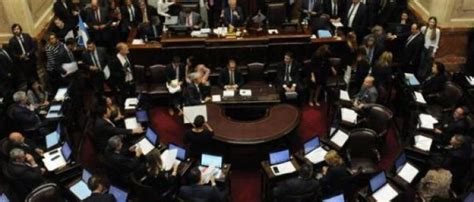 Expertos Y Ongs Se Pronunciaron En Contra Del Financiamiento De