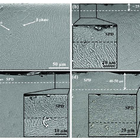 Cross Section Microstructure Examination Of Ti6al4v A Reference