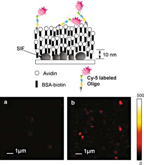 Plasmon Controlled Fluorescence Towards High Sensitivity Optical