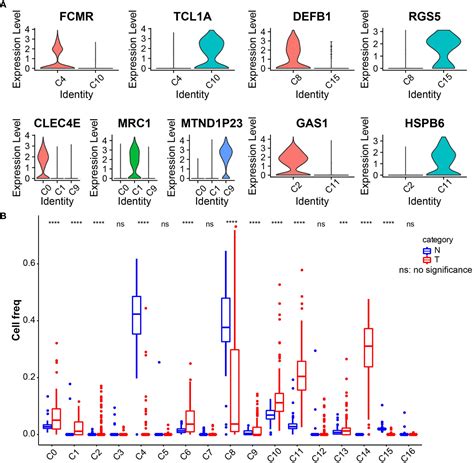 Frontiers Identification Of Fibroblast Related Genes Based On Single