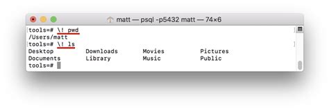 export to csv from psql using the copy command