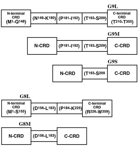 [expression And Purification Of Recombinant Human Galectin 9