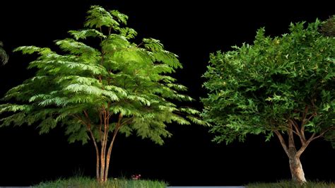 artstation ue5 foliage pack ready for nanite game assets