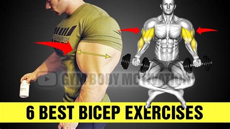 7 Most Effective Bicep Exercises For Bigger Arms Cable Arm Workout