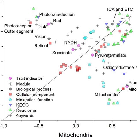 Gene Ontology Annotation Enrichment Analysis Plot Shows The Enriched