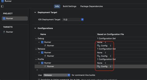 app env flutter package