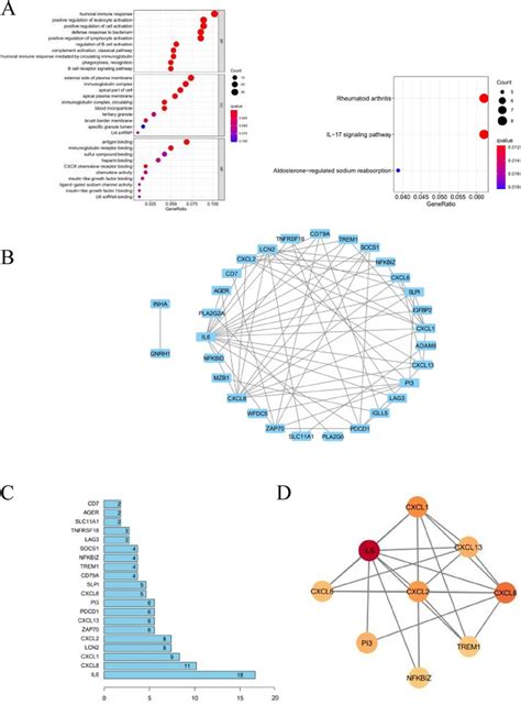 The Enrichment Analysis A Go And Kegg Enrichment Analysis Of 503 Degs