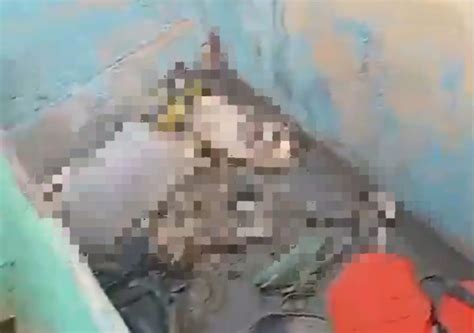 Corpos Em Decomposição São Encontrados Em Barco à Deriva No Pará O