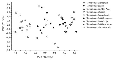 Results Of The Principal Component Analysis Using Morphometric