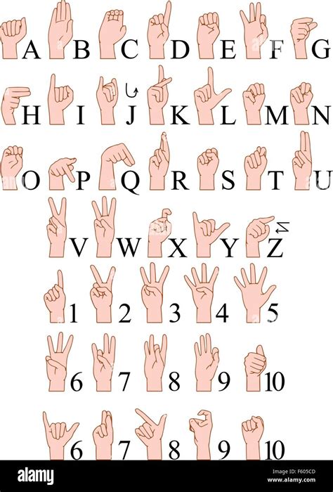 Lenguaje De Señas Imágenes Vectoriales De Stock Alamy