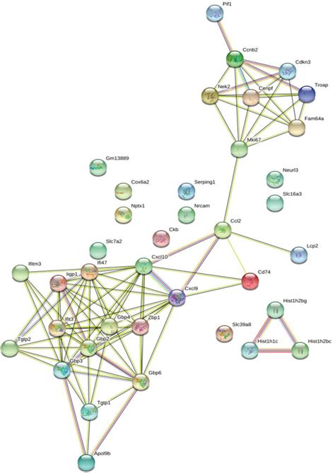 Protein Protein Interaction Network Analysis Of Top 20 Upregulated And