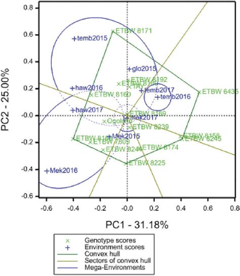 Polygon View Of The Gge Bi Plot Based On Grain Yield Of 16 Wheat