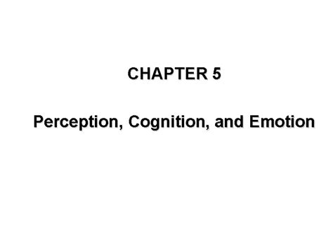Chapter 5 Perception Cognition And Emotion Learning Objectives