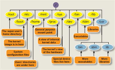 about linux file hierarchy system mastering the linux