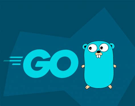 golang developer synapsees