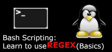 bash scripting learn to use regex basics linuxtechlab