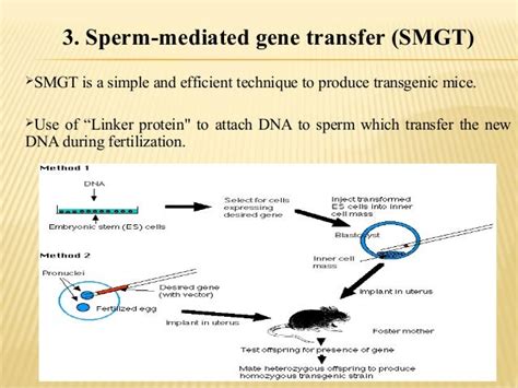Transgenic Technology
