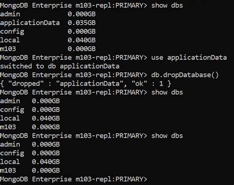 Mongodb Dropdatabase Error Db Does Not Exist But It Shows Up On