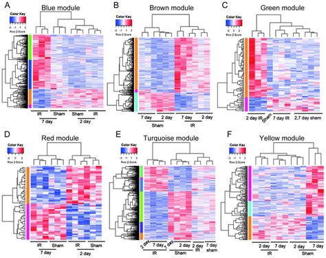 Weighted Gene Co‑expression Network Analysis In Identification Of Key