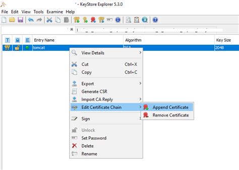 java import trust chain to the keypair or import it to keystore or