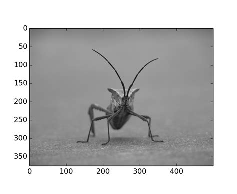 image tutorial — matplotlib 1 3 0 documentation