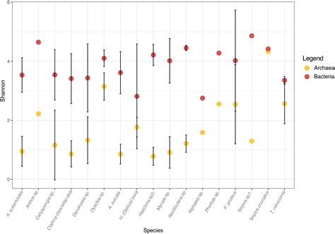 Frontiers New Insights Into The Archaeal Consortium Of Tropical Sponges