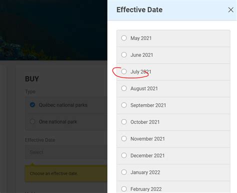 python how to make selenium click on a radio button stack overflow