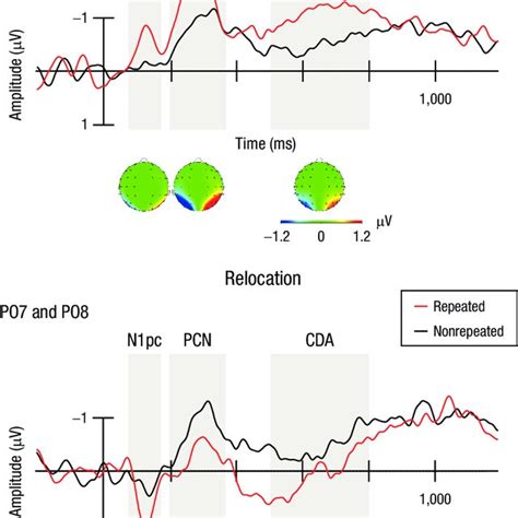 Event Related Potential Difference Waveforms Contralateral