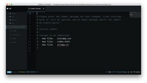 version control with git lesson 4 add commits to a