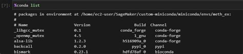 python loading custom conda envs not working in sagemaker stack
