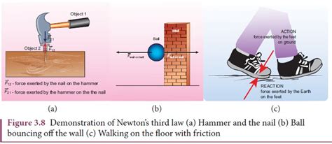 Newtons Third Law