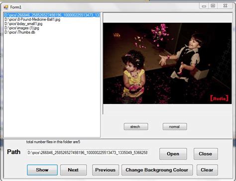 simple image viewer in free source code projects