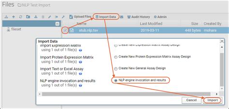 nlp pipeline nlp practicioner