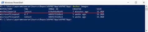 dockerize an existing asp mvc 5 application