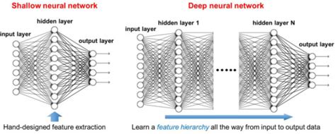 explain deep neural network and shallow neural networks i2tutorials