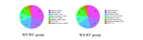 Subcellular Localization Chart Of Differentially Expressed Proteins