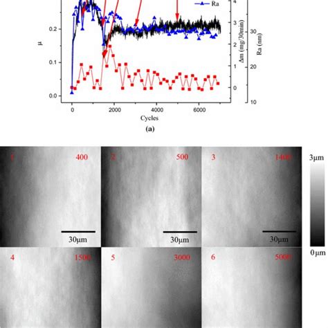 Coefficient Of Friction Wear Rate And Roughness Vs Cycles A