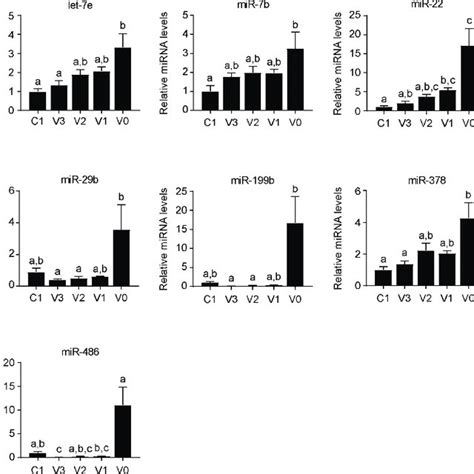 Identification Of Micrornas Differentially Expressed Along The