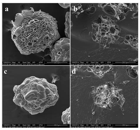 polymers free full text removing pb ii ions from aqueous solution