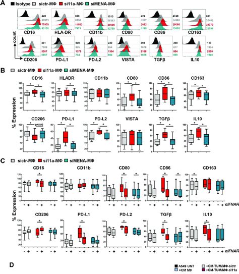 Conditioned Medium Derived From Si11a Nsclc Cells Induces A Unique
