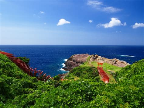 鳥居が連なる光景が美しい全国の絶景神社6選！の写真