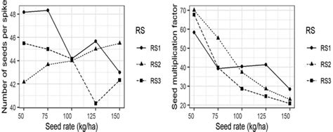 The Interaction Effect Of Seed Rate And Row Spacing On Numbers Of Seed