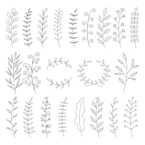 Premium Vector Floral Leaf Vine Branch Collection Doodle