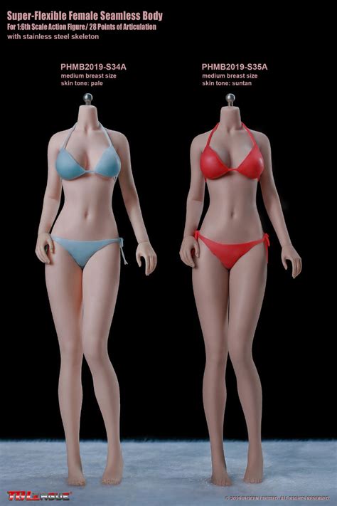 Phicen Tbleague Plmb2019 S34a Pale Medium Bust Female Seamless 1 6 Bo