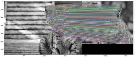 do image processing tasks using opencv python by shaiful019 fiverr
