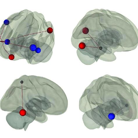 First Level Functional Connectivity Fc Analysis 3d Graphical