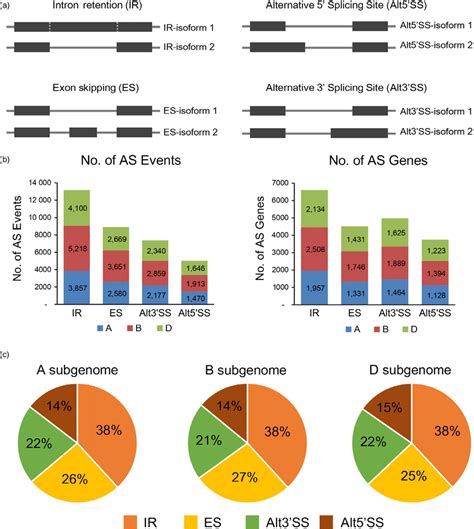 Summary Of Alternative Splicing Events In Wheat Seedlings A